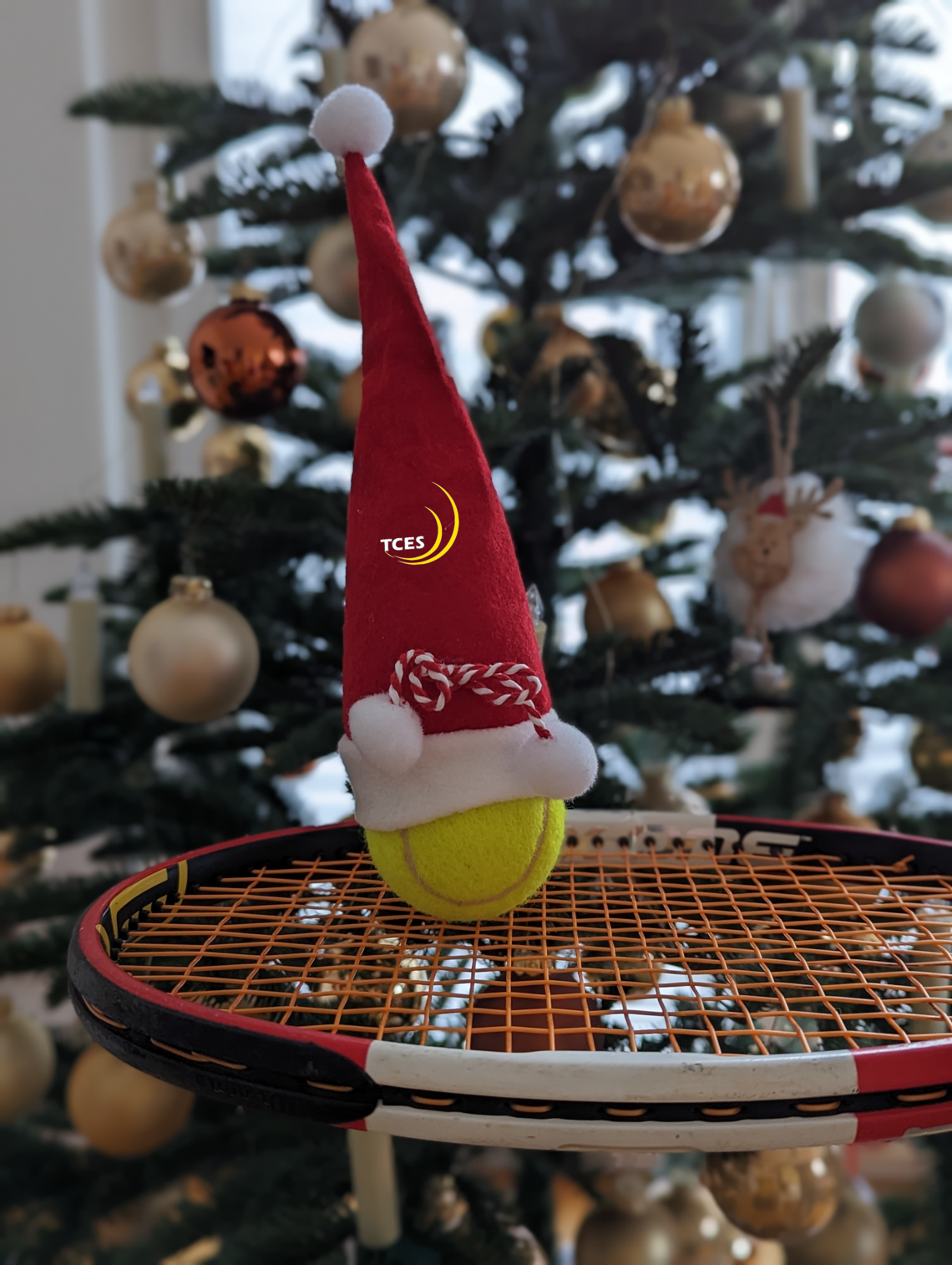 Tennisclub Ebikon Schindler | TC Ebikon Schindler